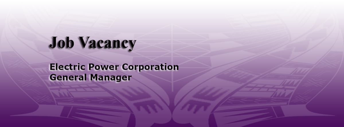 E.P.C General Manager • Ministry for Public Enterprises